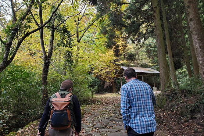 Walking Through the Aso Caldera, Historical Walk Along the Bungo Kaido - Exploring the Aso Caldera
