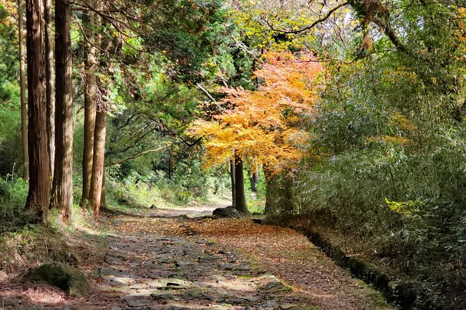 Walking Through the Aso Caldera, Historical Walk Along the Bungo Kaido - Historical Walk Along the Bungo Kaido