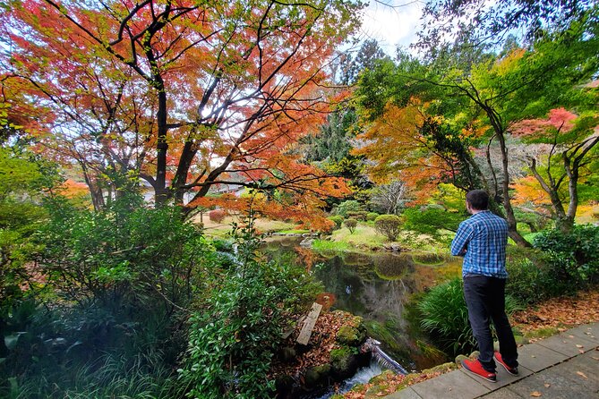 Walking Through the Aso Caldera, Historical Walk Along the Bungo Kaido - Unique Local Stories and Highlights