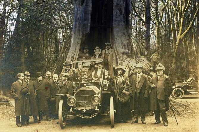 Walking Tour Along Stanley Park's Seawall - Who Should Consider This Tour?