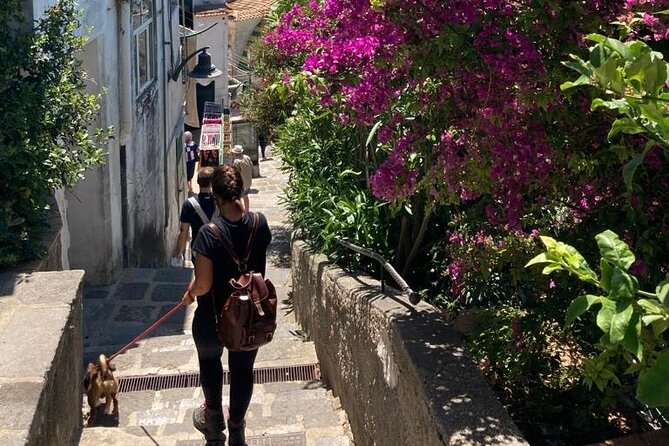 Walking Tour From Minori to Maiori Along the Path of the Lemons - Booking Information and Cancellations