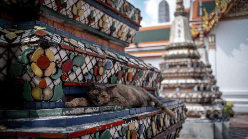 Walking tour Grand Palace, Emerald Buddha and Wat Pho - FAQ