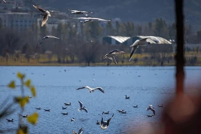 Walking Tour Historic Jewels in Tirana - Positive Reviews and Feedback