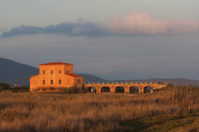Walking tour in Diaccia Botrona - Key Points