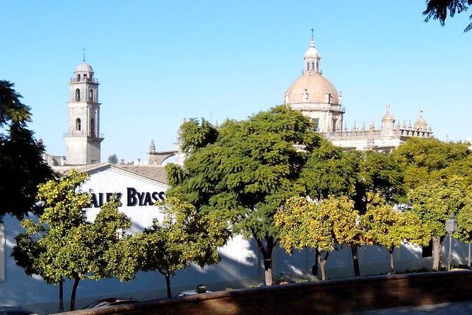 Walking tour in Jerez - Key Points