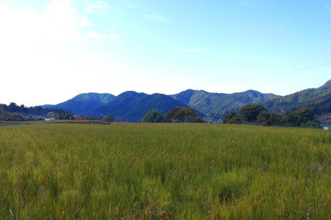 Walking Tour in Ohara Discover the Tranquil Beauty of Kyoto - Who Should Consider This Tour?