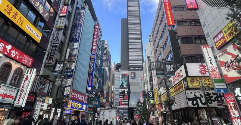 Walking Tour in Shinjuku & Kagurazaka: Tokyos Hidden Gems - Key Points
