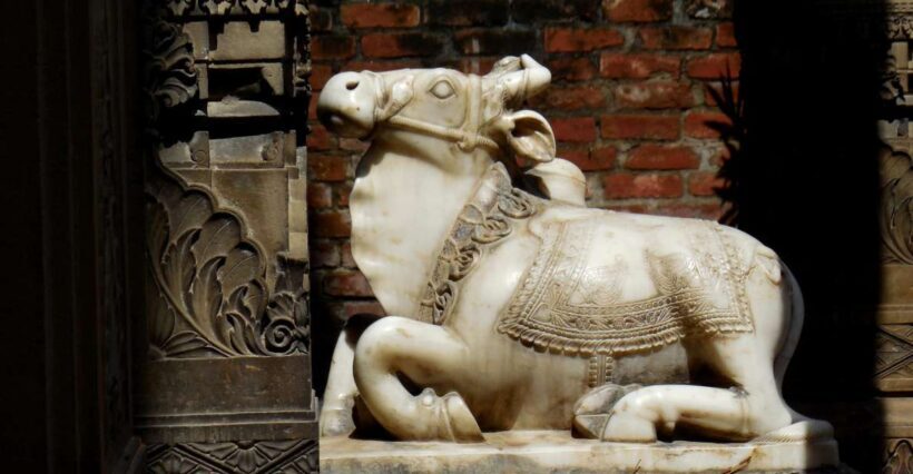 Walking Tour in the old part of the city of Varanasi - The Experience: Walking, Learning, and Connecting