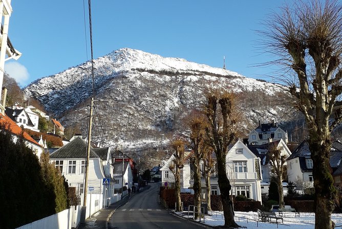 Walking Tour: Medieval Spirit of Bergen - Inclusions