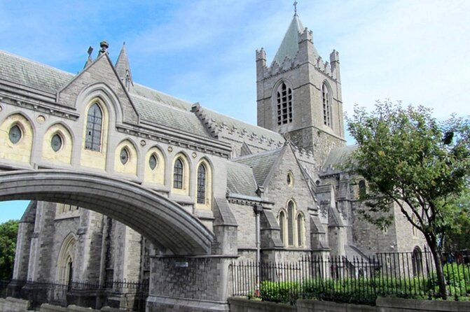 Walking Tour of Dublin'S Viking/Medieval Quarter With a Viking - Overview and Experience