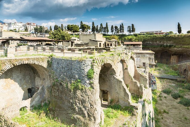 Walking Tour of Herculaneum with Local Guide - The Baths, Gymnasium, and Daily Life