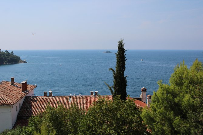 Walking tour of Rovinj - Authenticity and Small Details from Reviews