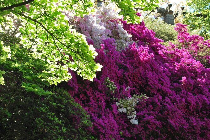 Walking tour with a private tour guide in the botanical gardens of Villa Taranto - FAQ