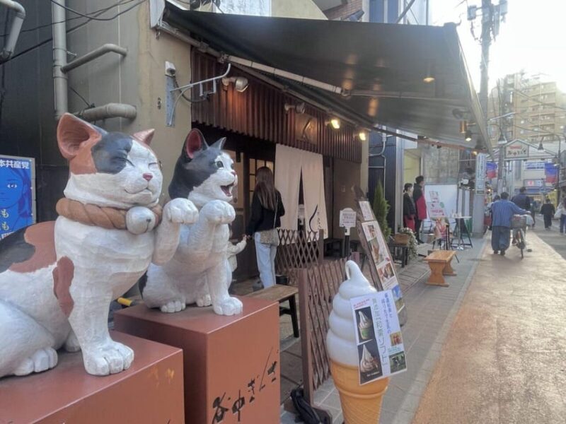 Walking Tour: Yanaka,Nezu& Sendagi: Tea Ceremony & Old Tokyo - Key Points
