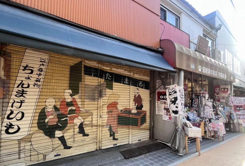 Walking Tour: Yanaka,Nezu& Sendagi: Tea Ceremony & Old Tokyo - Tour Highlights and Experience