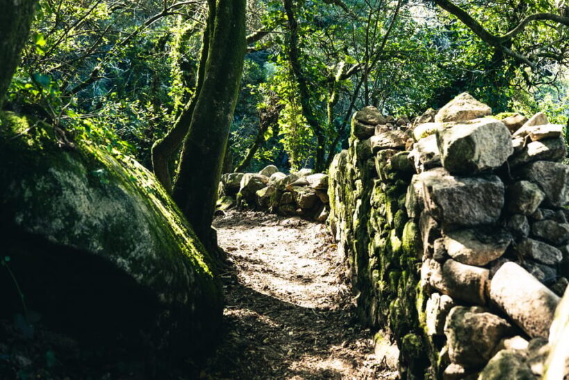 Walking tour:Pena Palace, Moorish Castle,Quinta da Regaleira - The Sum Up