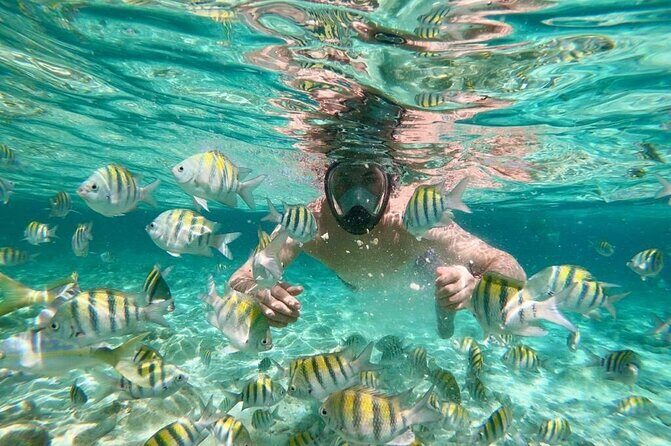 Walking tours of Puerto Plata from Taino bay and amber cove - Frequently Asked Questions