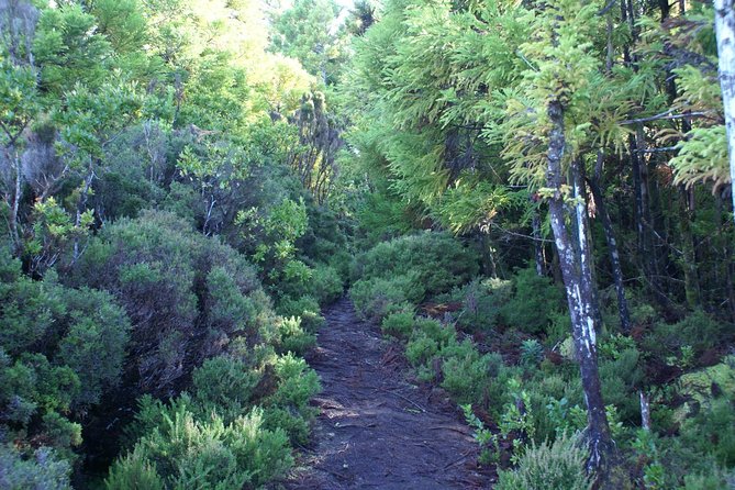 Walking Trails of Terceira - Final Word