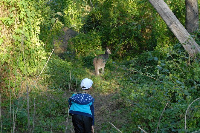 Walking with Wild Kangaroos Private Half-Day Trip from Sydney - Who Will Love This Tour?