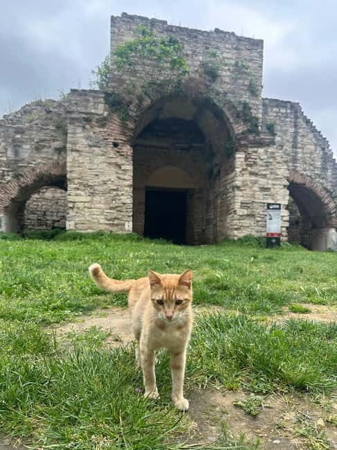 Walls of Contantinople and Blachernea Palace Tour - The Palace of the Porphyrogenitus: A Roman Jewel in Istanbul