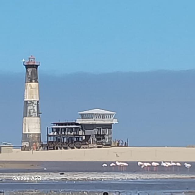 Walvis Bay: Catamaran Cruise and Sandwich Harbour Tour - Key Points