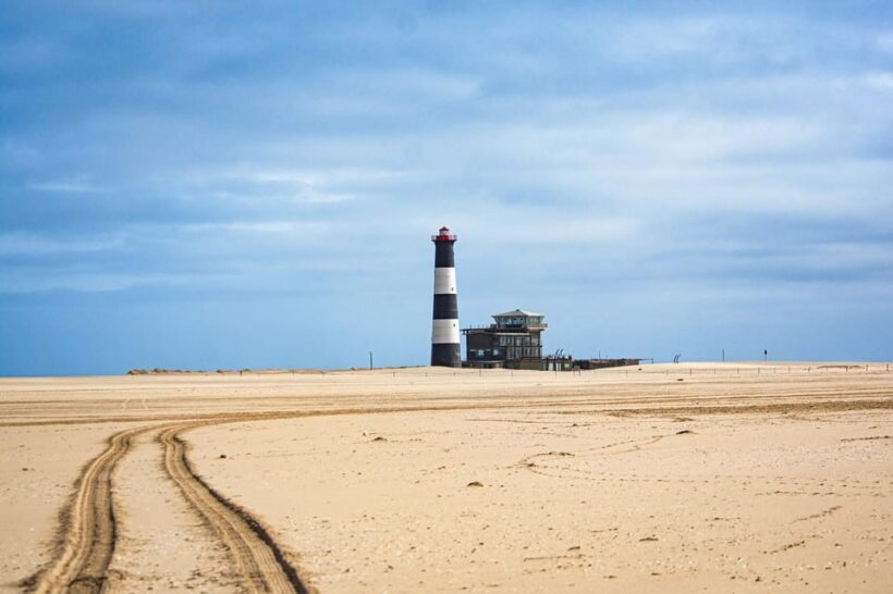 Walvis Bay : Pelican Point Birding and Cape Fur seal tour - Visiting the Cape Fur Seal Colony