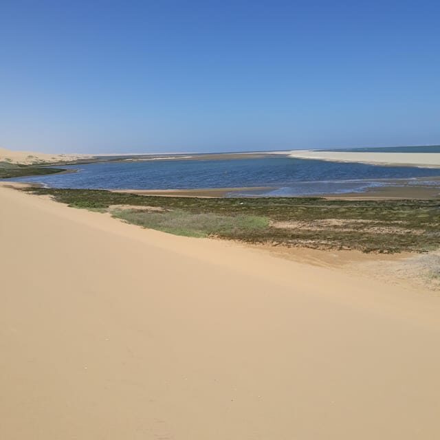 Walvis Bay: Scenic Sandwich Harbour Tour - Authentic Experiences and Traveler Reviews