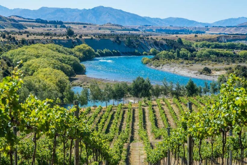 Wanaka: Afternoon Boutique Wine Tour - Key Points