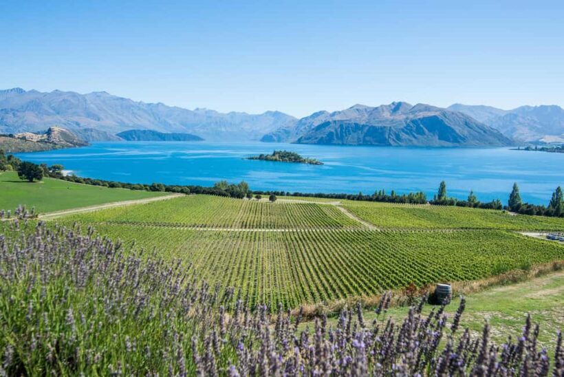 Wanaka: Full Day Classic Wine Tour with Lunch - The Big Picture