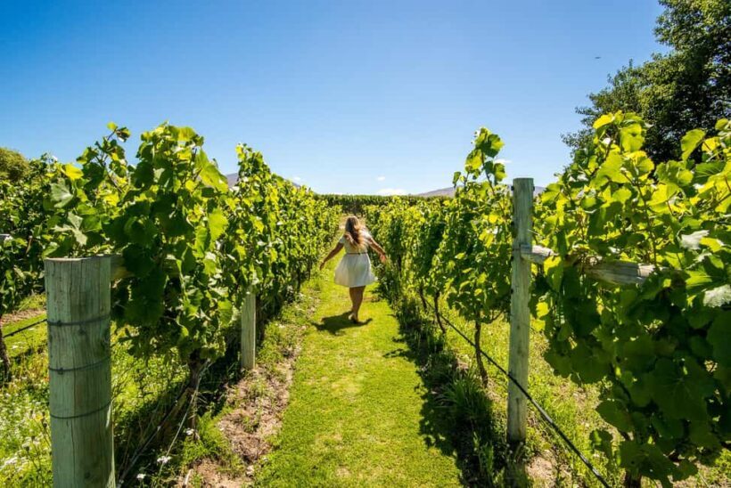 Wanaka: Full Day Classic Wine Tour with Lunch - FAQ