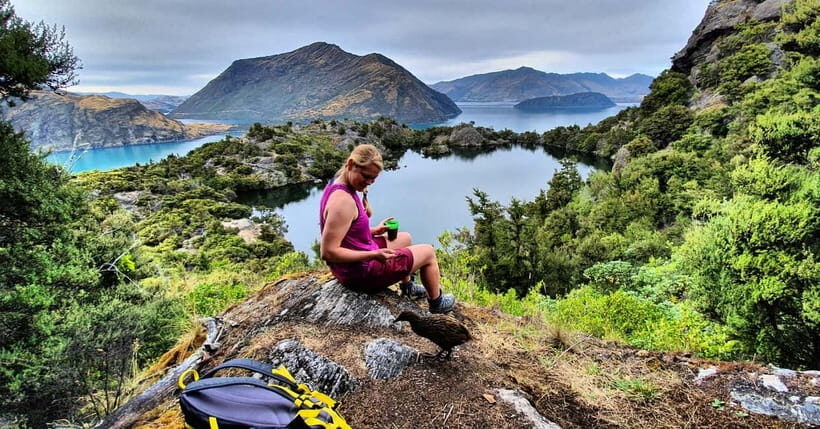 Wanaka: Mou Waho Island Boat Tour and Nature Walk - Key Points