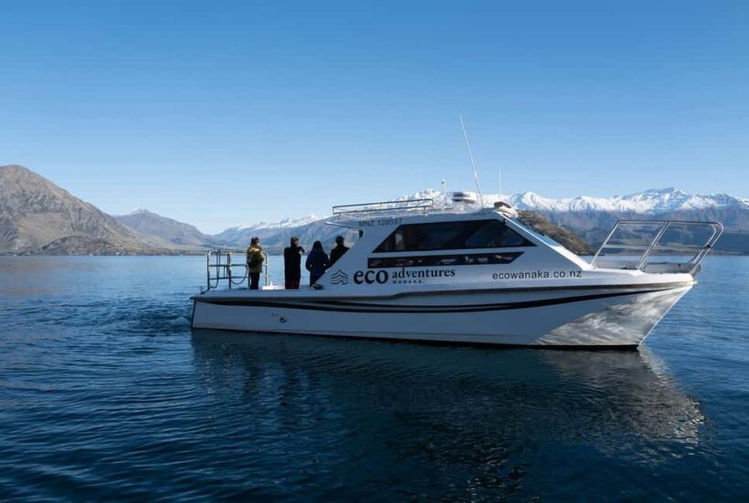 Wanaka: Mou Waho Island Boat Tour and Nature Walk - An Introduction to the Mou Waho Island Experience