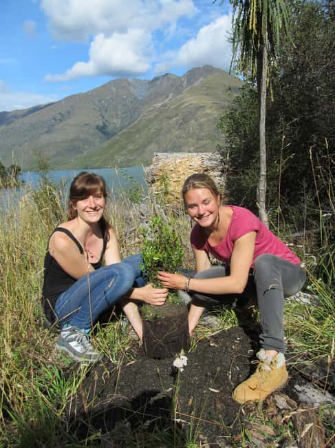 Wanaka: Mou Waho Island Boat Tour and Nature Walk - The Sum Up: Is It Worth Your Time?