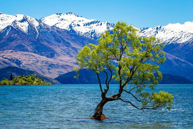 Wanaka Private Day Trip from Queenstown: TravelnGo - Wanaka Private Day Trip from Queenstown: TravelnGo — An Honest Look