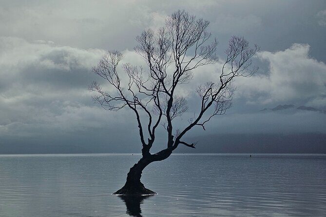 Wanaka Private Day Trip from Queenstown: TravelnGo - FAQs
