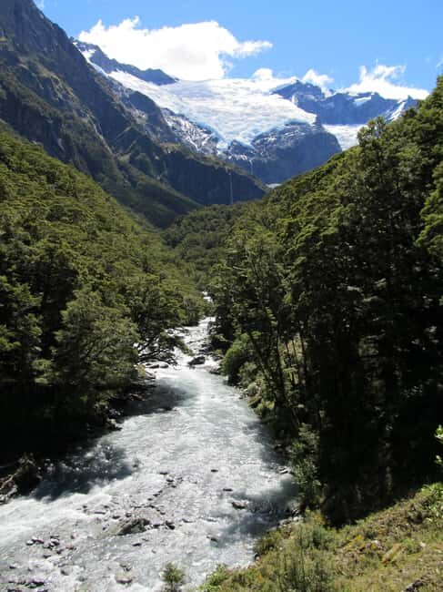 Wanaka: Rob Roy Glacier Guided Hike with Lunch - The Sum Up