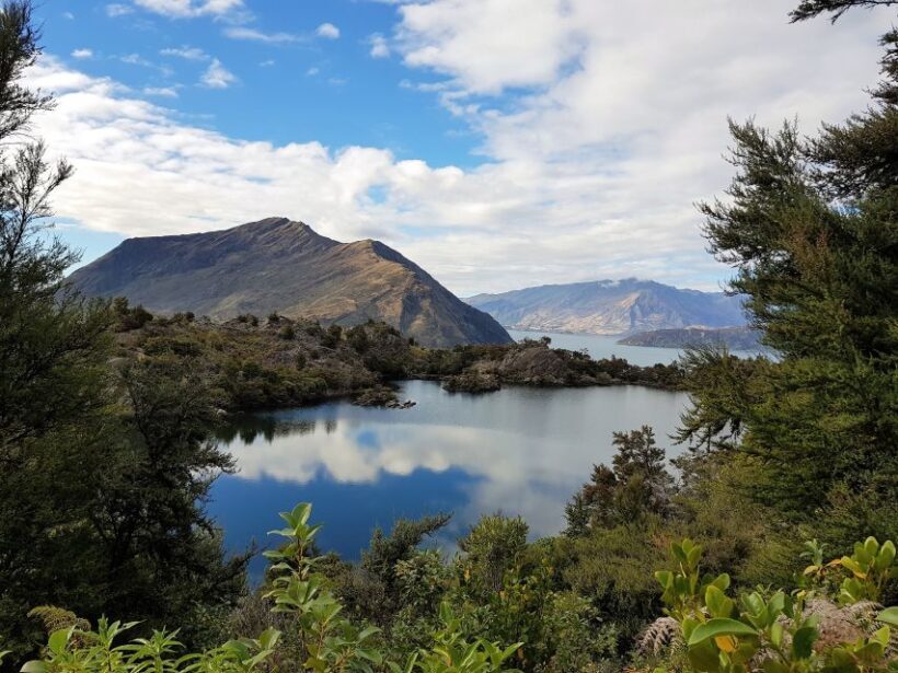 Wanaka: Water Taxi & Mou Waho Island Tour - Key Points