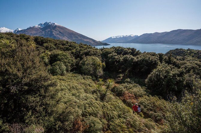 Wanaka Water Taxi Mou Waho Island Tour - Frequently Asked Questions