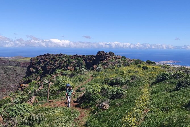 Wanderungen im grünen Gran Canaria - Exploring the Floral Wonderland of Gran Canaria