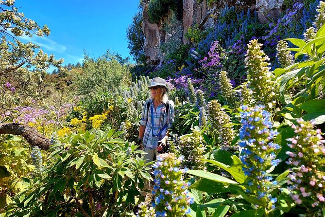 Wanderungen im grünen Gran Canaria - What the Tour Looks Like in Detail