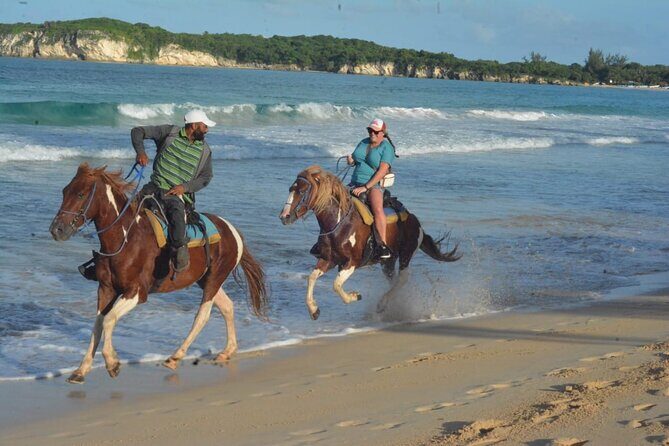 Want to Learn to Gallop at Bavaro Punta Cana Beach! - Key Points