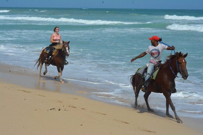Want to Learn to Gallop at Bavaro Punta Cana Beach! - A Deep Dive into the Experience