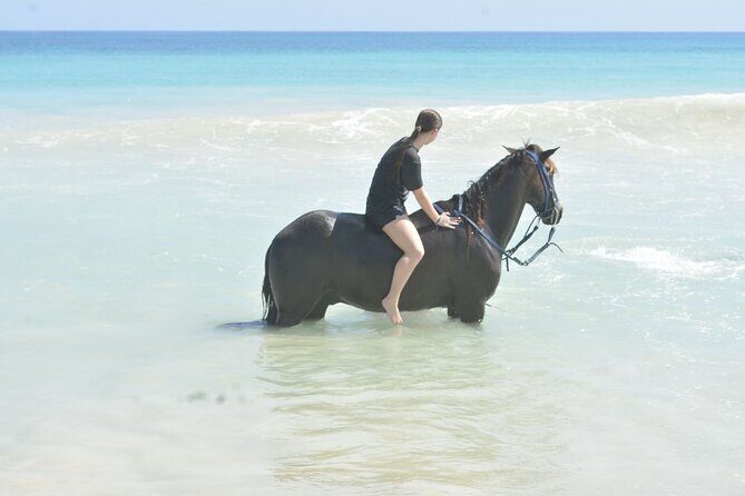 Want to Learn to Gallop at Bavaro Punta Cana Beach! - Who Will Love This Tour?