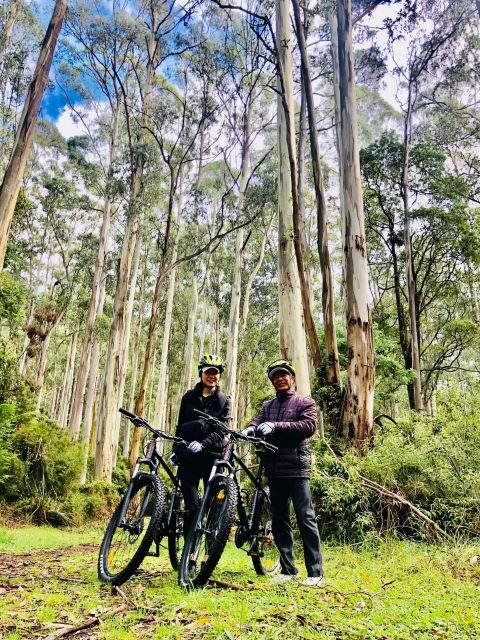 Warburton: Redwood Forest Mountain Bike Adventure - Key Points