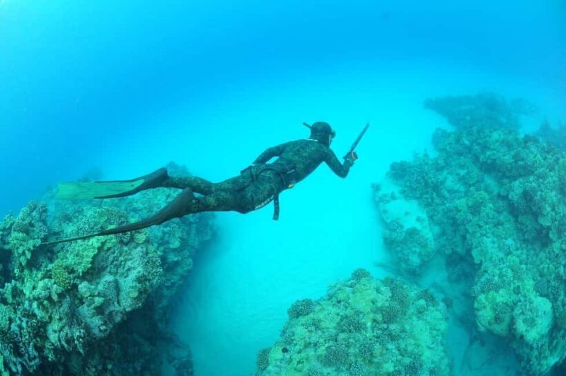 Warkworth: SSI Basic Freediving Course - Included and Not Included