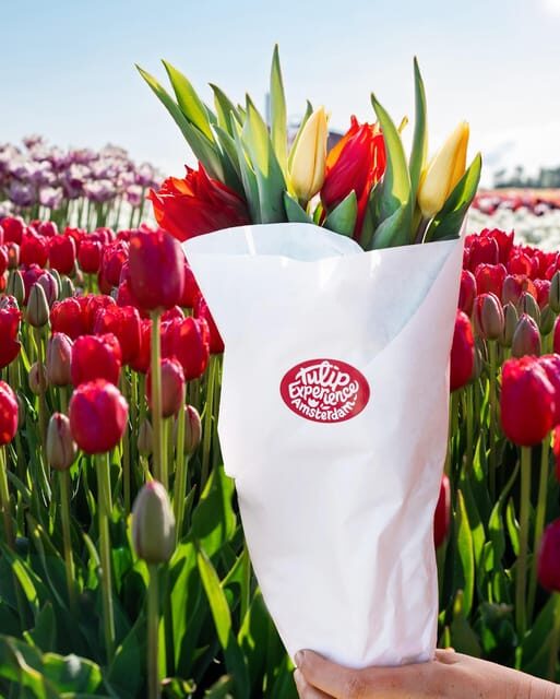 Warmond: Kagerplassen Cruise with "Tulip Experience" Ticket - An in-depth Look at the Experience