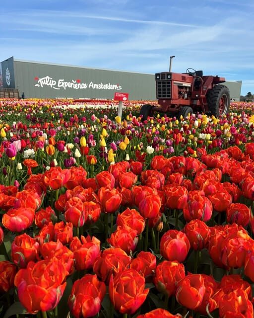 Warmond: Kagerplassen Cruise with "Tulip Experience" Ticket - FAQ