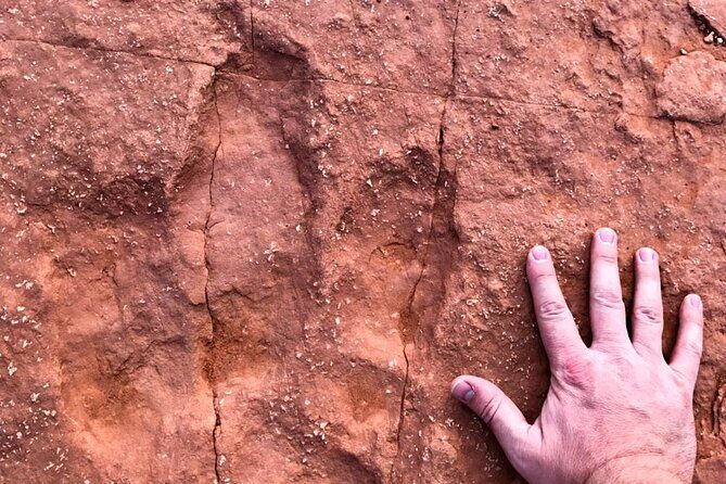 Warner Valley Dinosaur Track Site 4x4 Tour - An Honest Look at the Warner Valley Dinosaur Track Site Tour