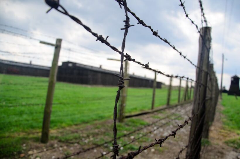 Warsaw: 12-Hour Guided Private Tour to Majdanek and Lublin - An In-Depth Look at What to Expect