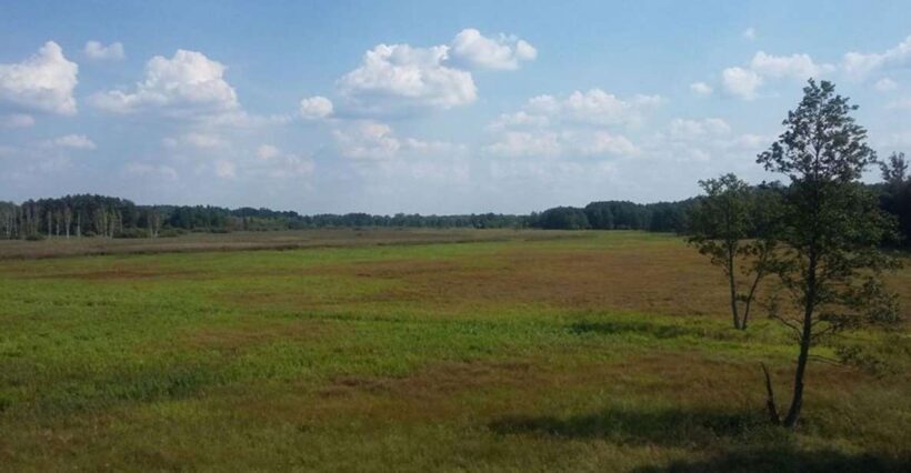 Warsaw: Bialowieza National Park and European Bison Tour - What Travelers Say